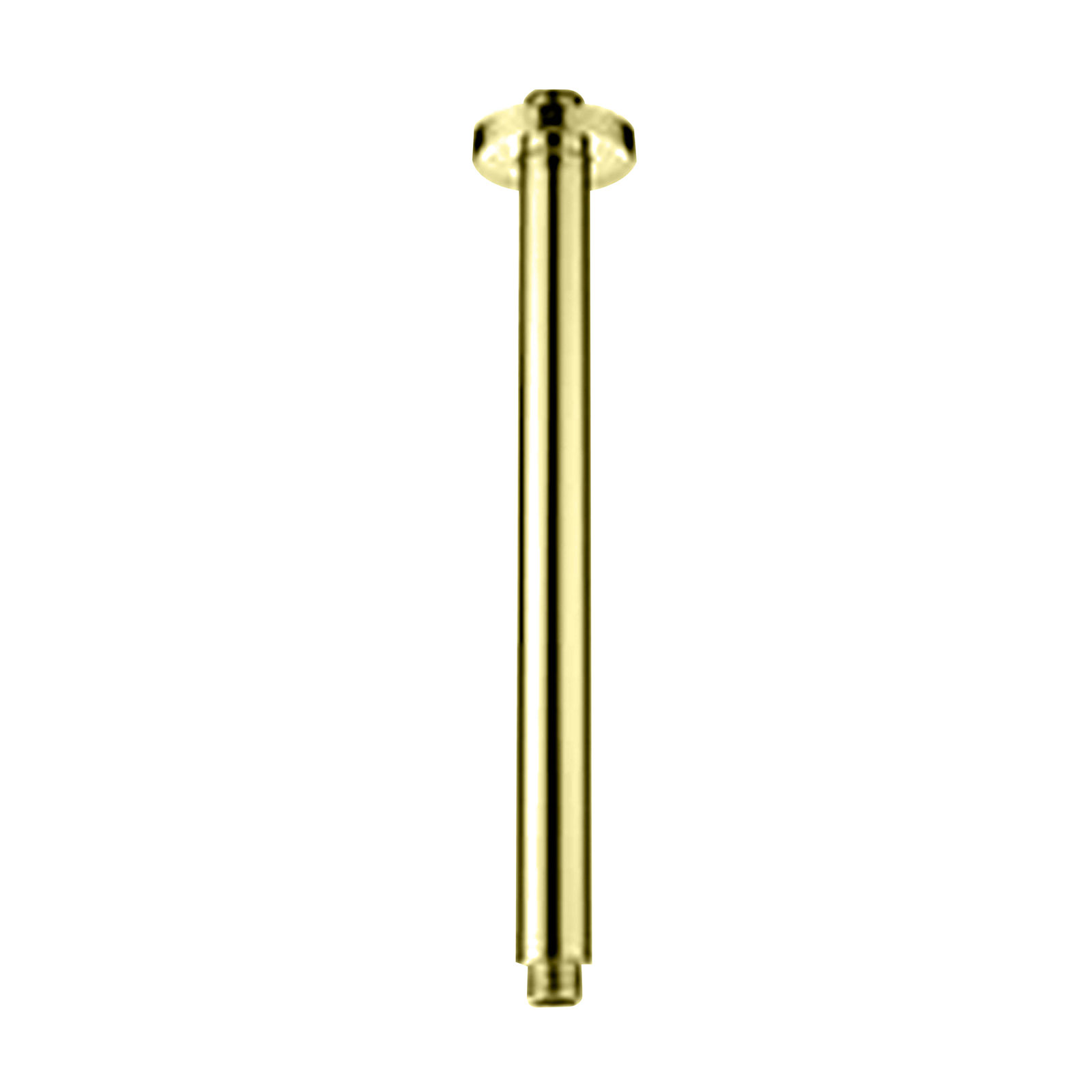 Ceiling Mount Shower Arm – Brushed Brass – CA30BB – Blu-Motion